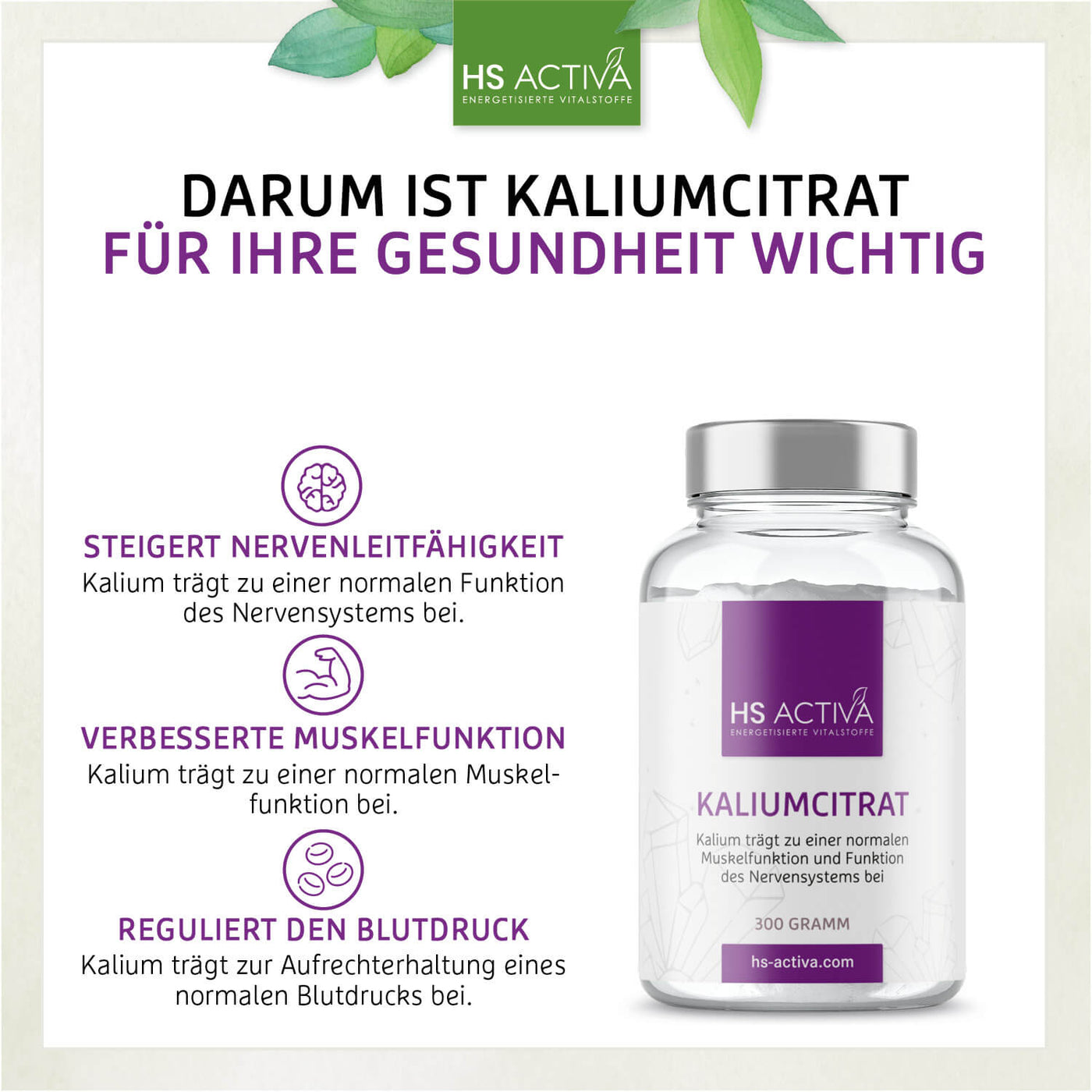 Kalium Citrat (250 Kapseln oder 300 g Pulver)